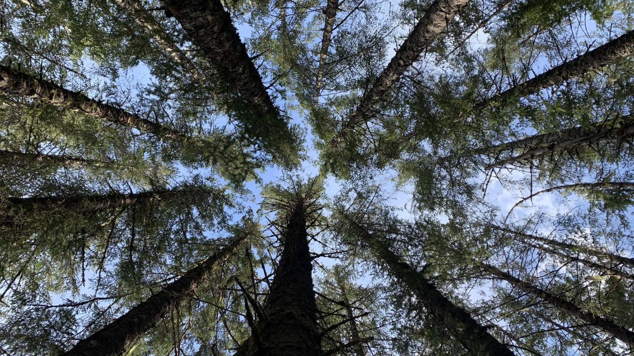 About Us: Our Vision, Mission and Values - The Garrison Institute